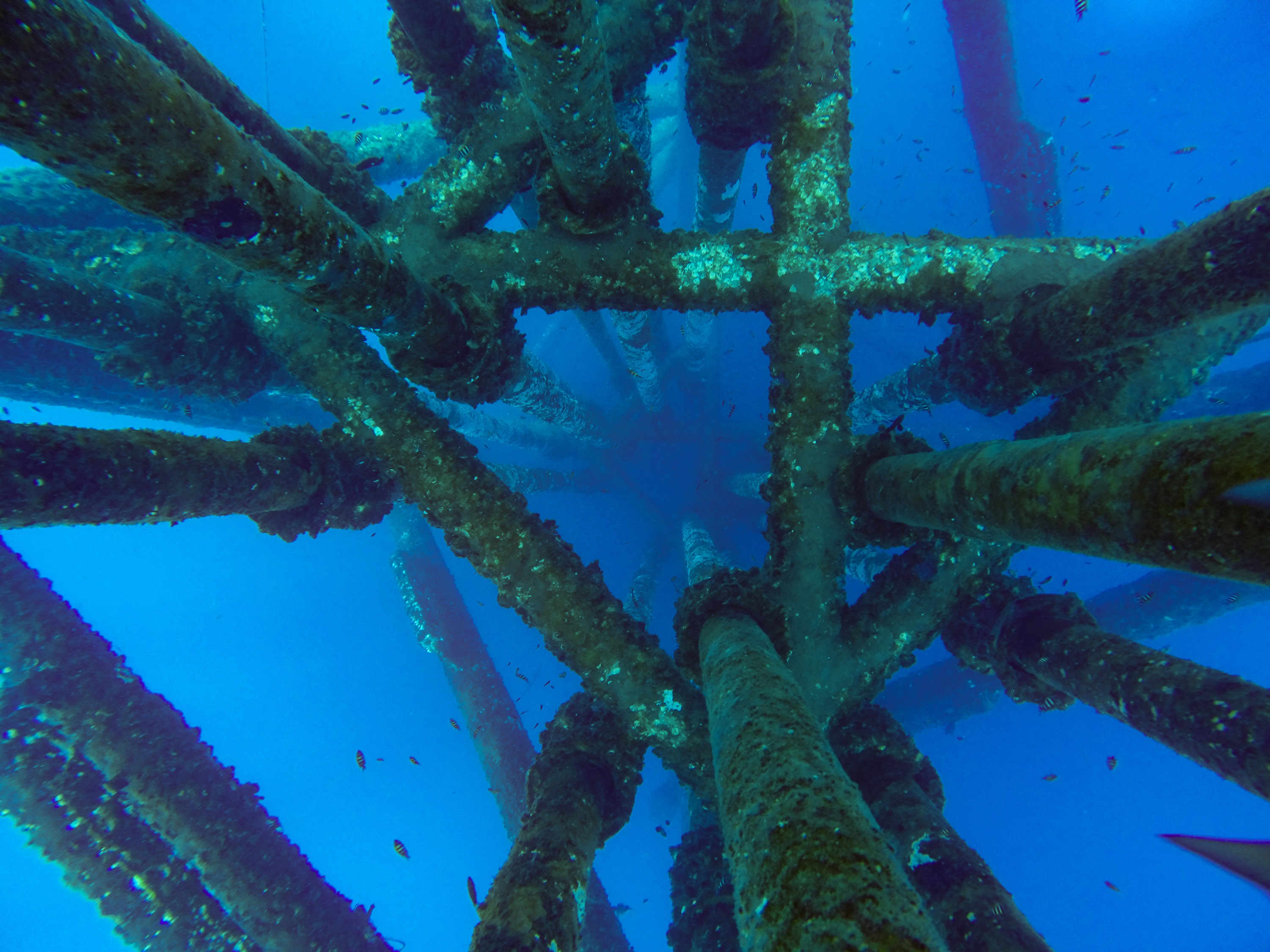 State-of-the-art marine facilities – Subsea Testing and Evaluation (UK) Ltd